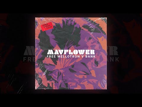 Mayflower (Mellotron V Bank) – Audio Juice